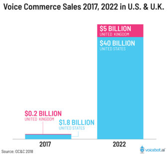 Data Show Voice Shopping Delivers Customer Satisfaction, Positive ...