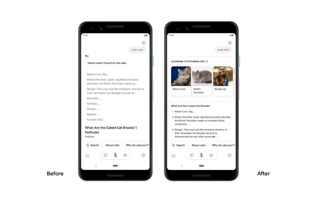 Google Assistant to Provide Enriched Visual Responses on Android ...