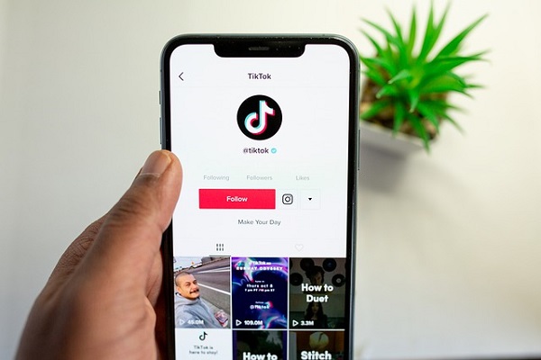 How To Do Voice To Text On Tiktok Uxropotq
